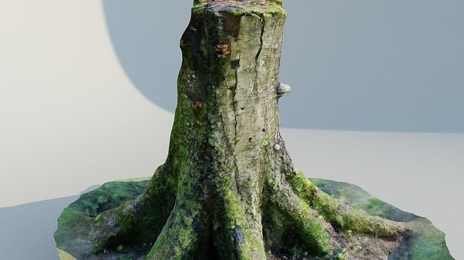 3D model Photoscanned Low Poly Trunk VR / AR / low-poly | CGTrader