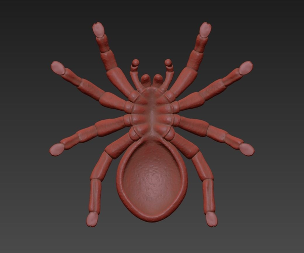 Spider with cross and skull 3D Model 3D printable .stl - CGTrader.com