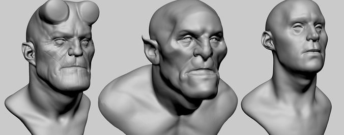 Head Models v2 3D model | CGTrader