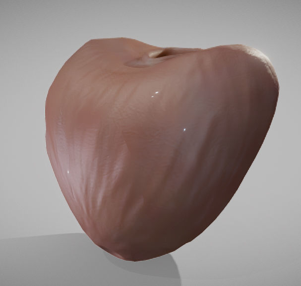 3D model Prostate donut with hole in it VR / AR / low-poly | CGTrader