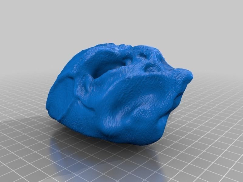 Alien Head free 3D model 3D printable | CGTrader