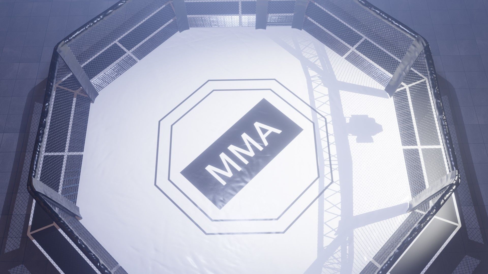 3D model MMA fighting octagon arena with lights VR / AR / low-poly ...