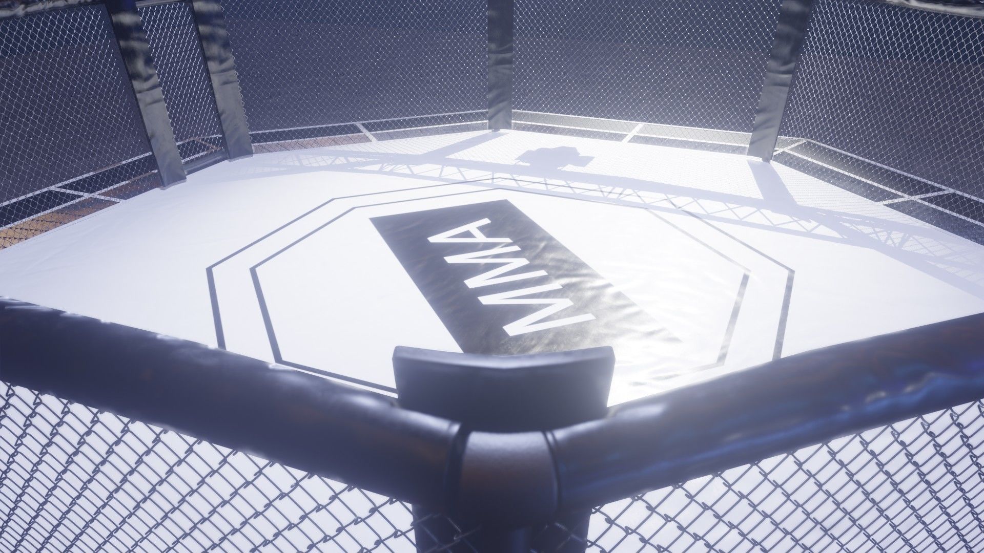 3D model MMA fighting octagon arena with lights VR / AR / low-poly ...