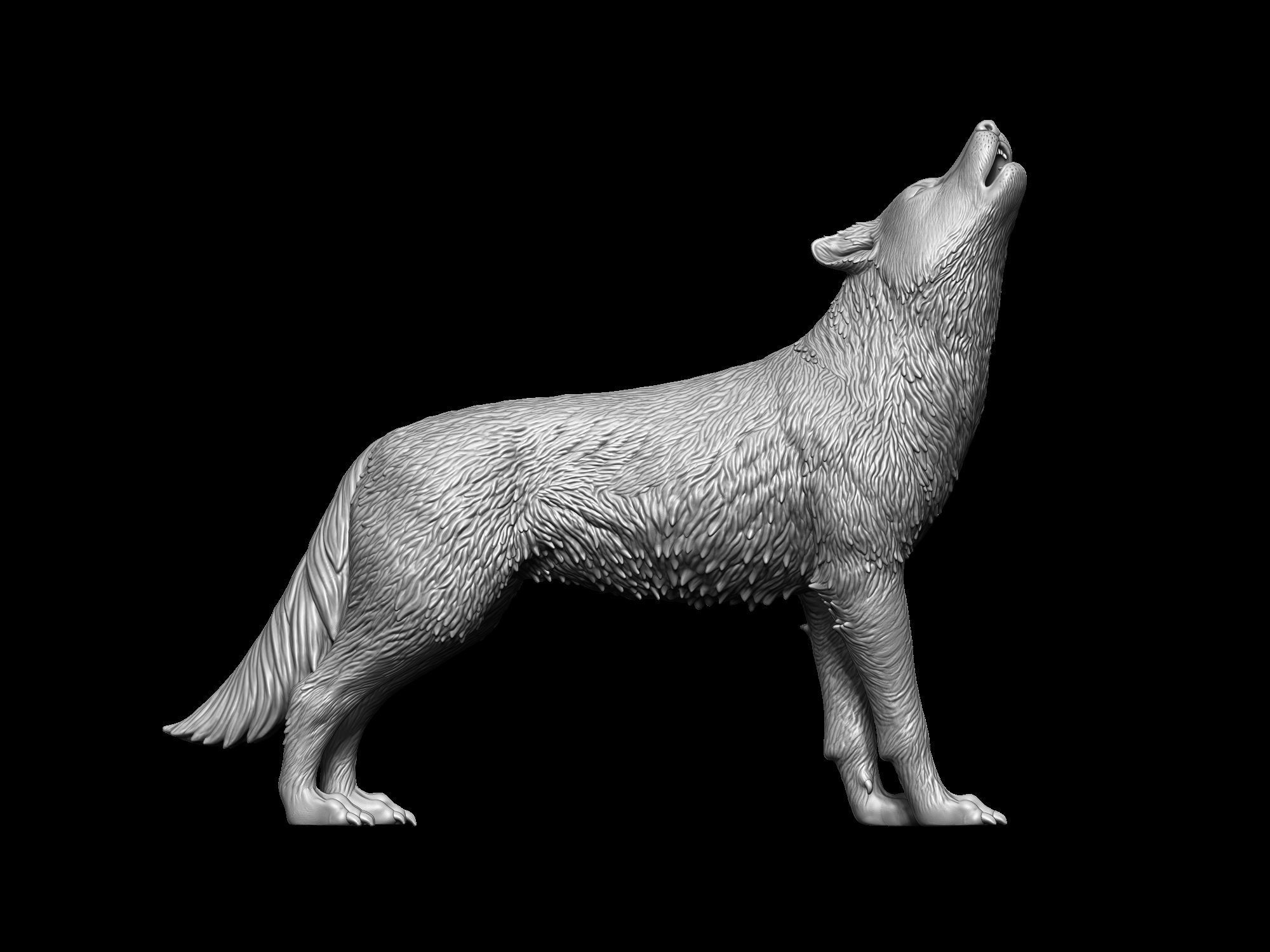 Howling Wolf 3D model 3D printable | CGTrader