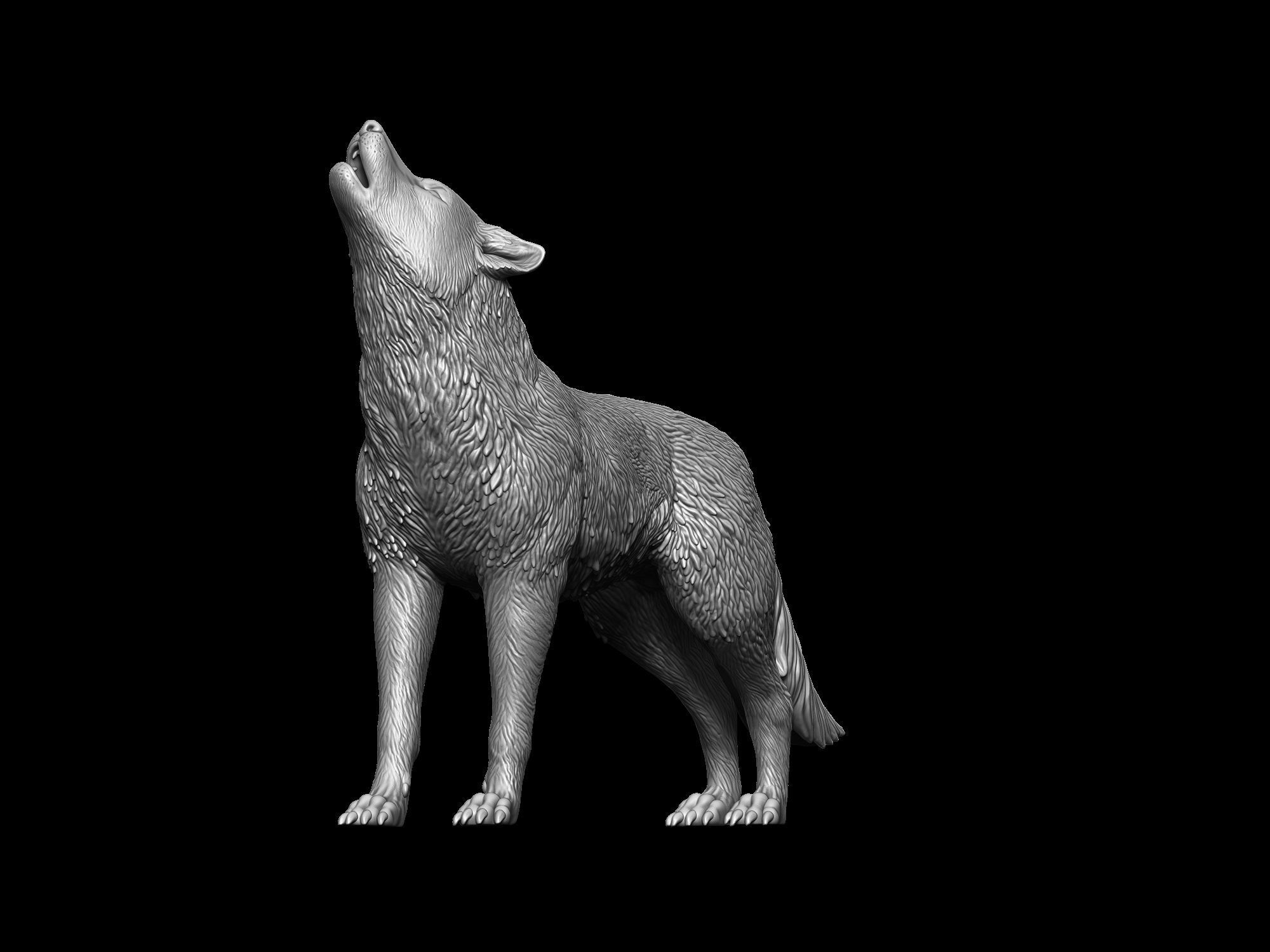 Howling Wolf 3D model 3D printable | CGTrader
