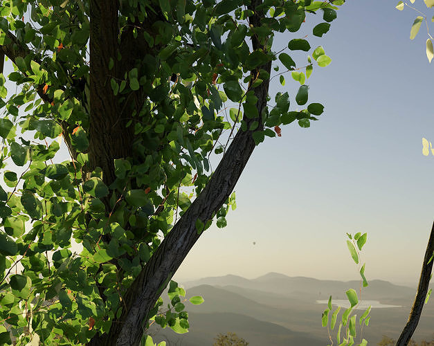 tree for forest landscape 3D model | CGTrader