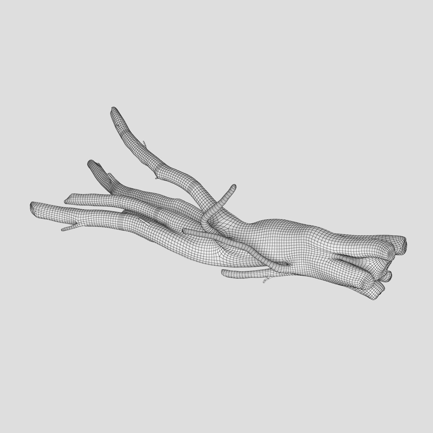 Snag branch 3D model | CGTrader