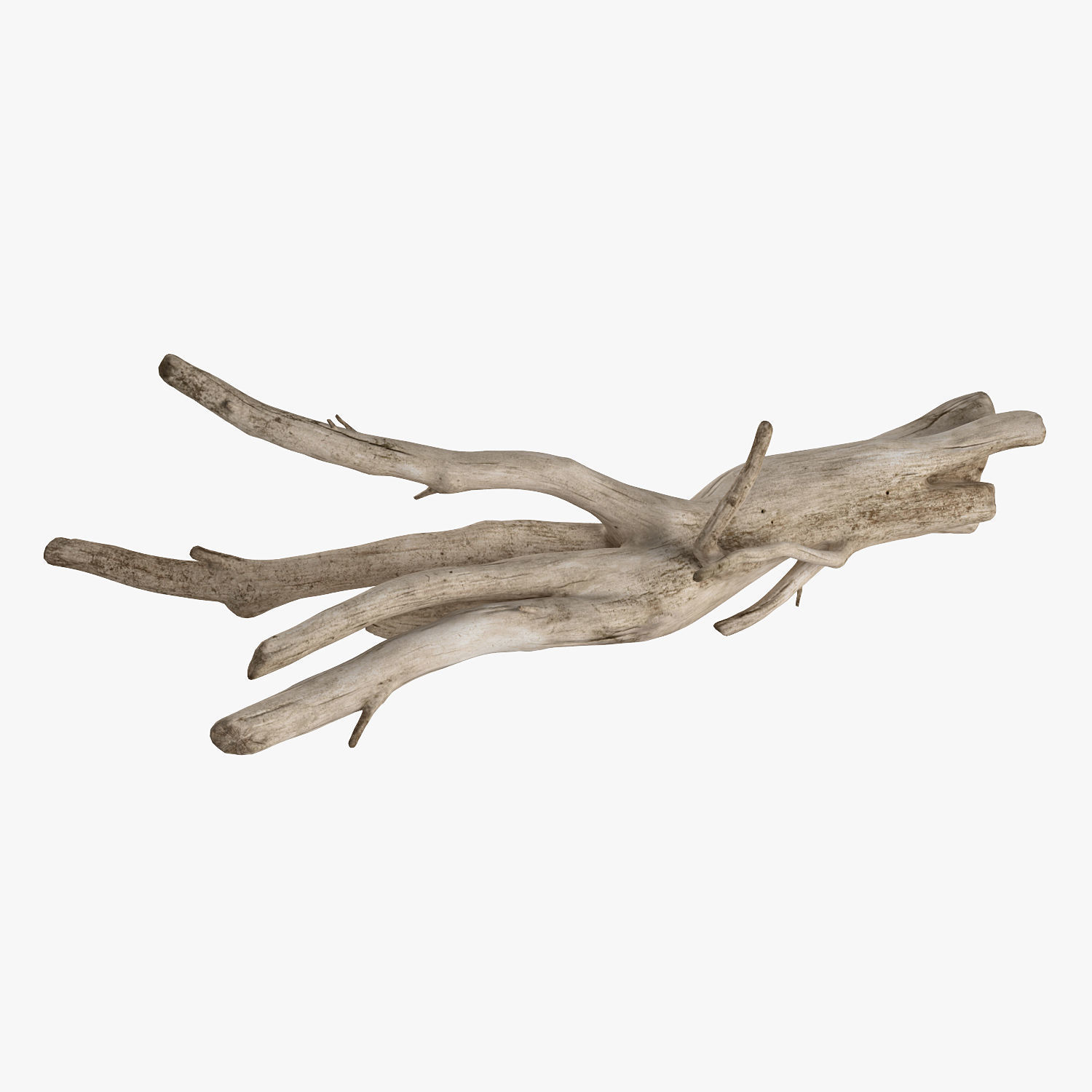 Snag branch 3D model | CGTrader