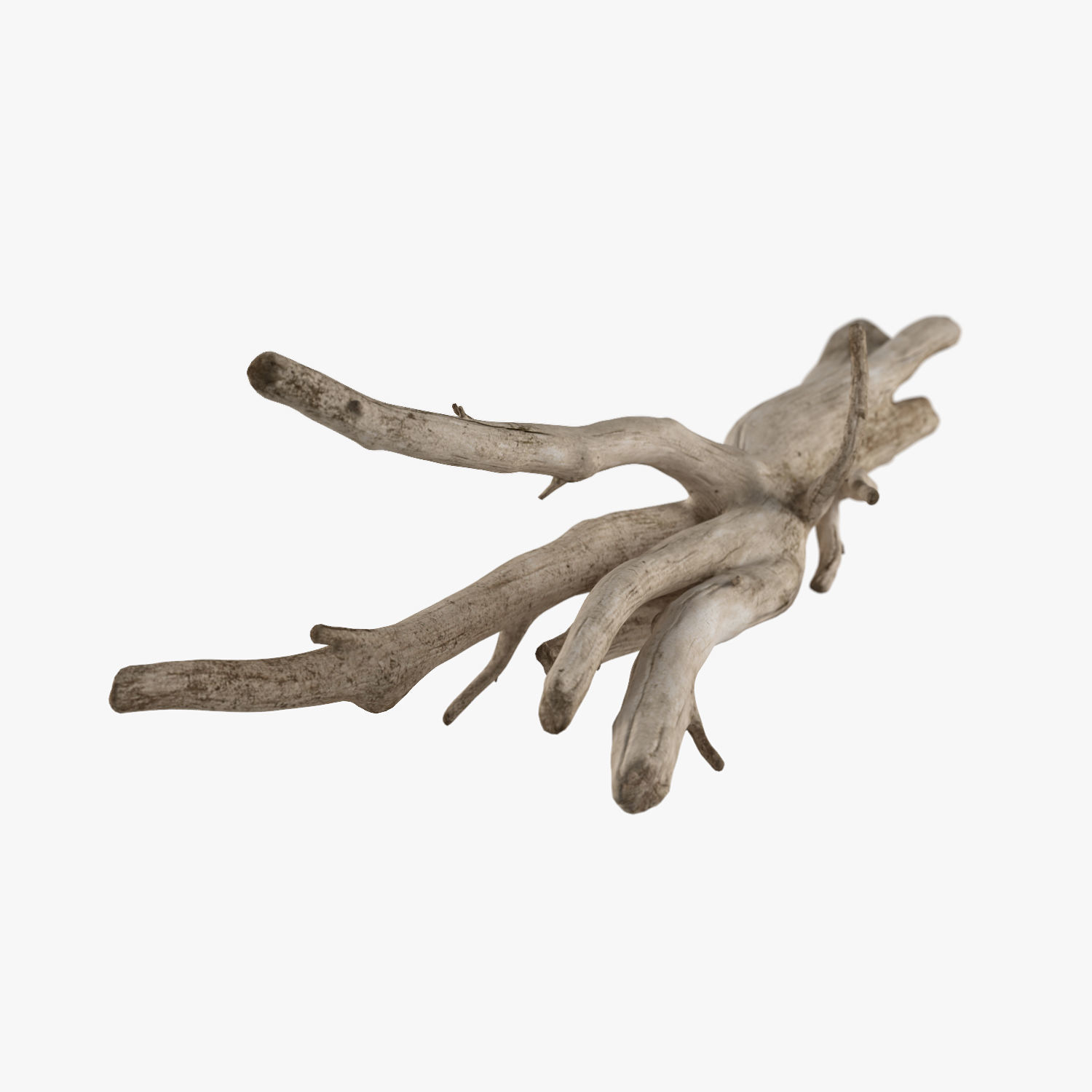 Snag branch 3D model | CGTrader