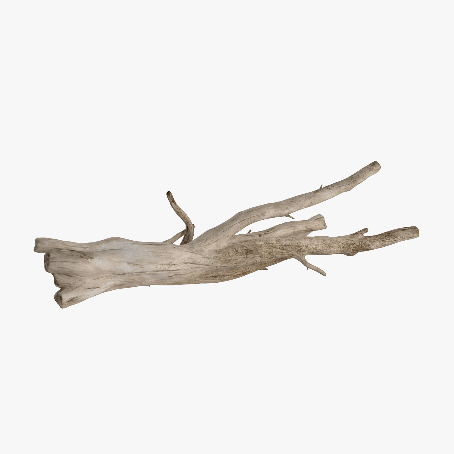 Snag branch 3D model | CGTrader