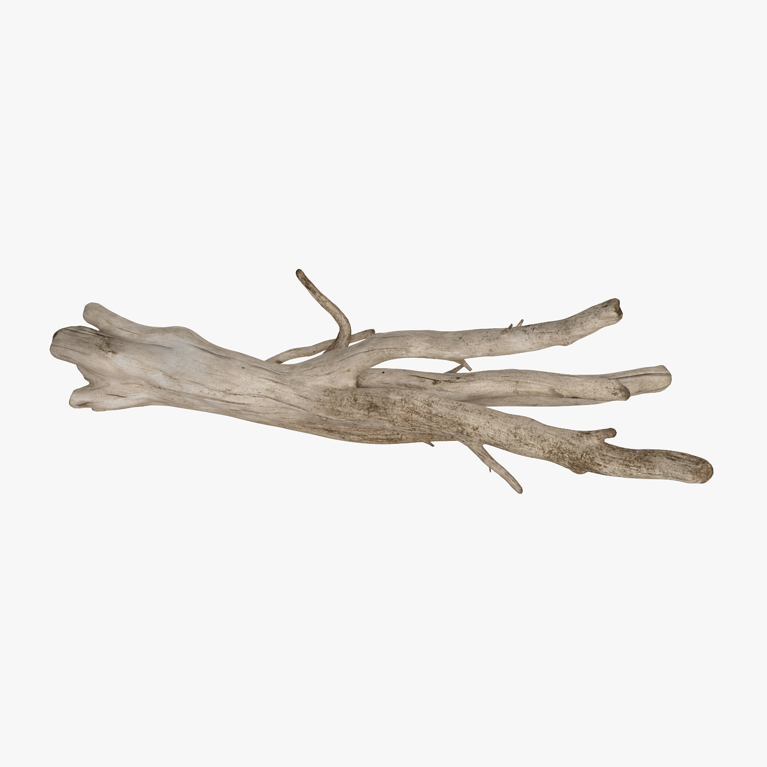 Snag branch 3D model | CGTrader