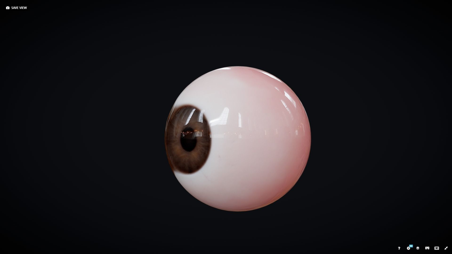 Photorealistic Eye Brown 3D model | CGTrader