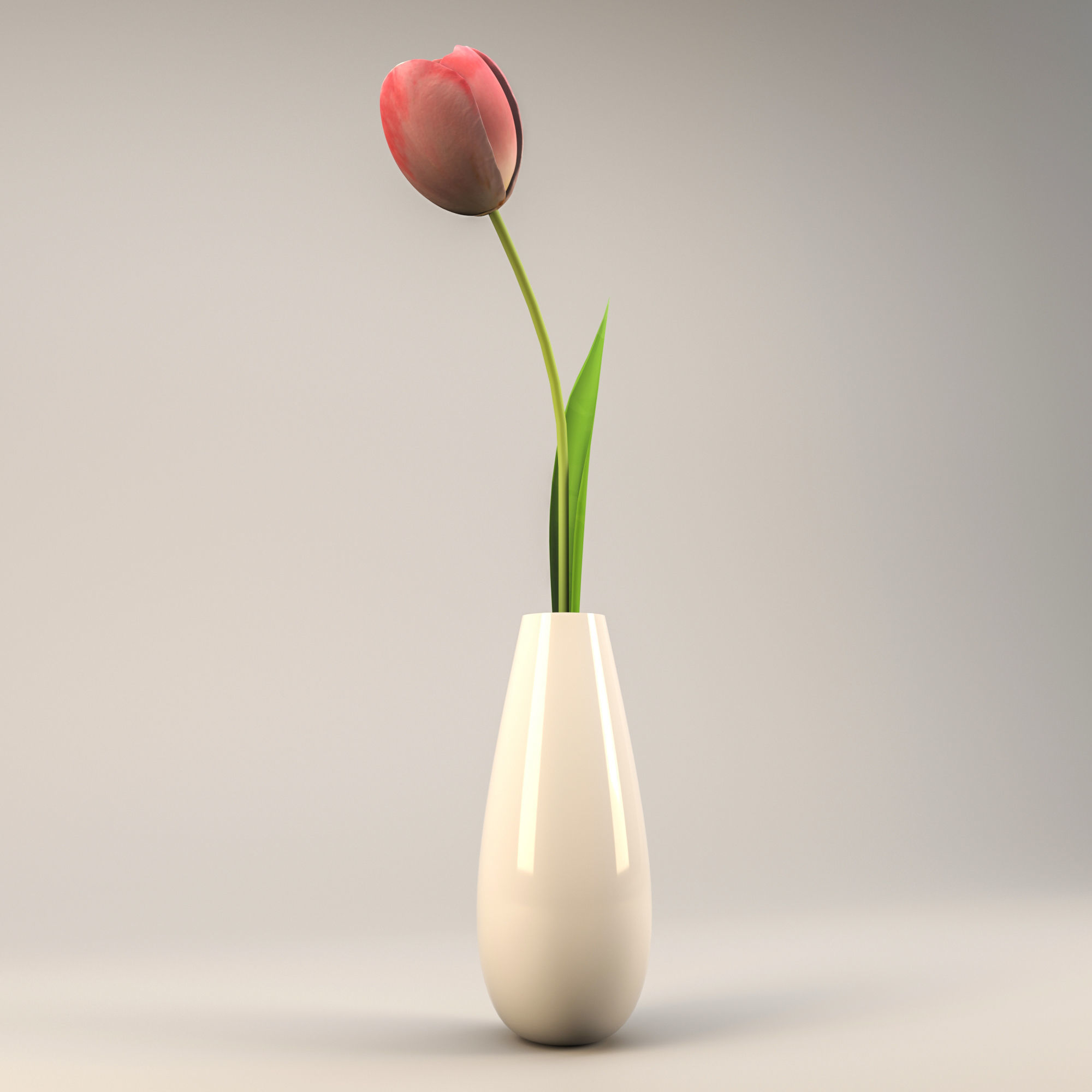 Pink Tulip Flower with Ceramic Vase free 3D model | CGTrader