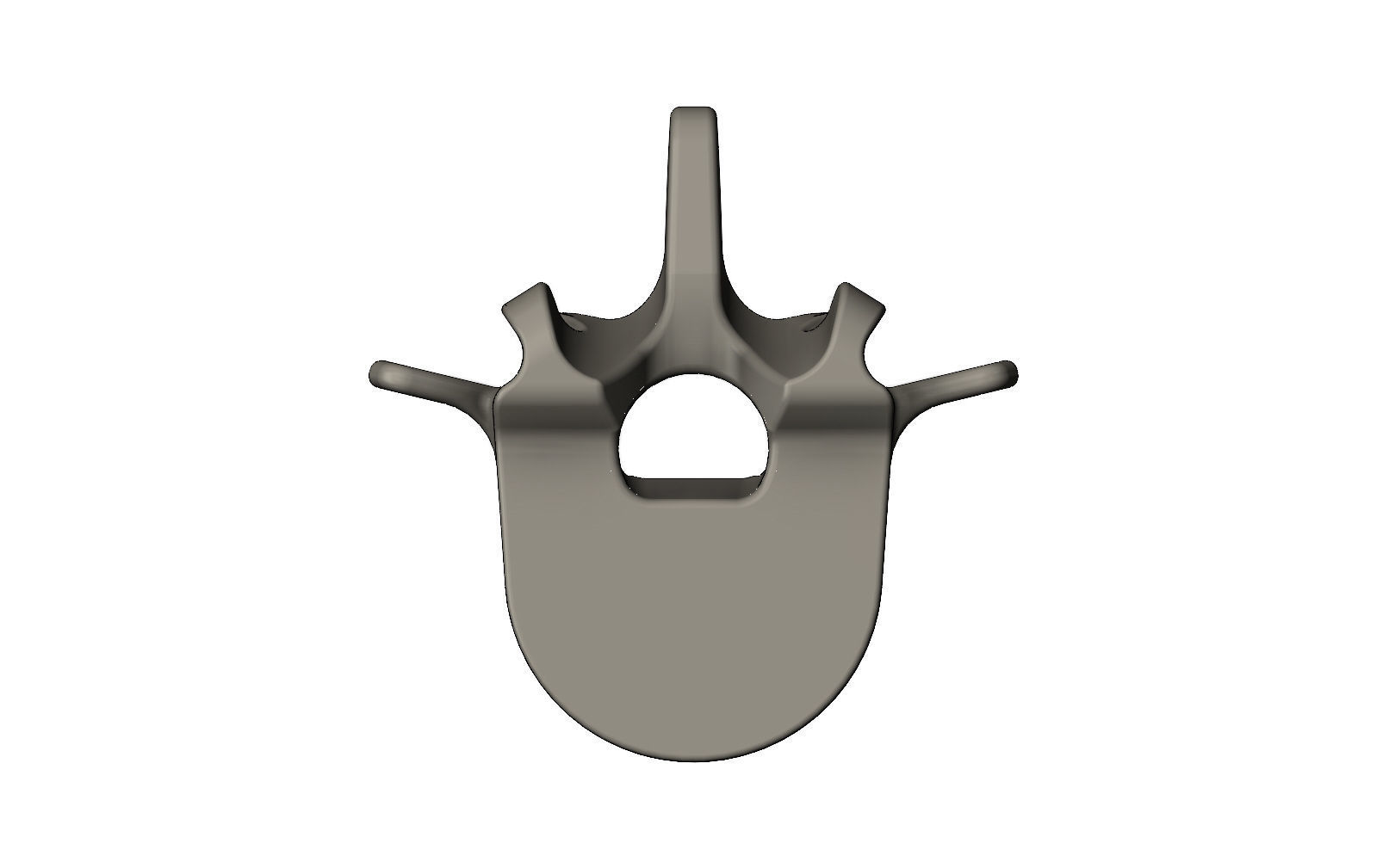 Spinal vertebrae 3D model 3D printable | CGTrader