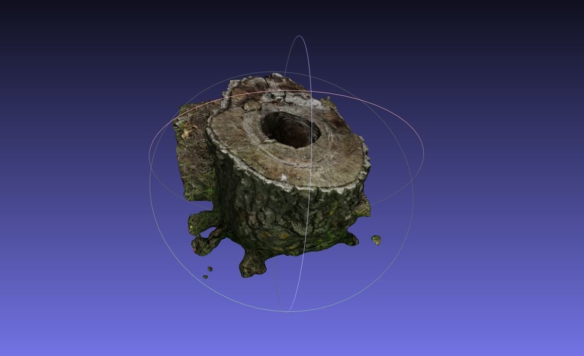 Tree snag 3D model | CGTrader