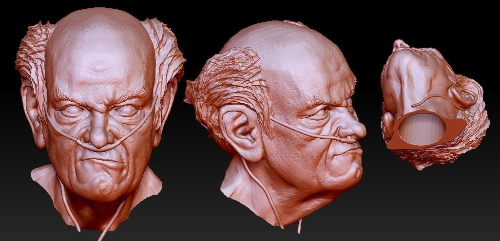 Pack 01 Heads for 3d print - with hole for custom figures free 3D model ...