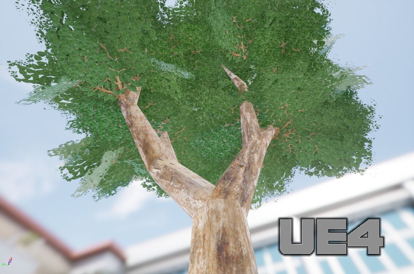 3D model Brazilian Cherry Locust Jatoba Tree PBR Lowpoly VR / AR / low ...