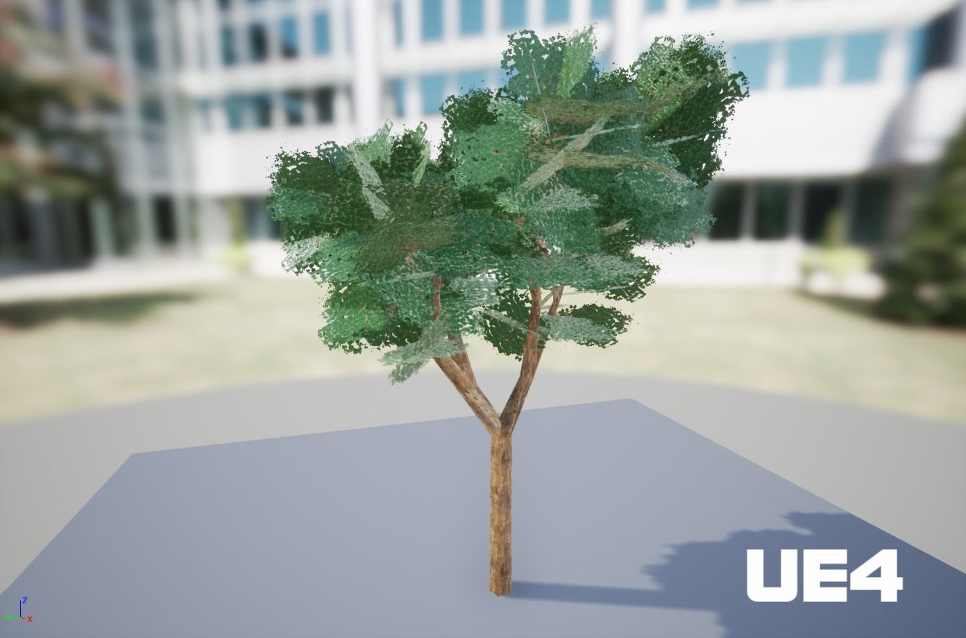 3D model Brazilian Cherry Locust Jatoba Tree PBR Lowpoly VR / AR / low ...