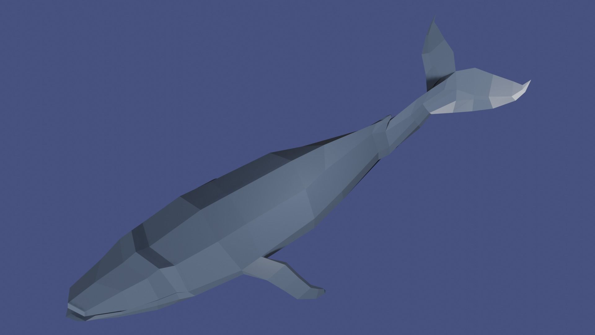 Whale free VR / AR / low-poly 3D model animated rigged | CGTrader