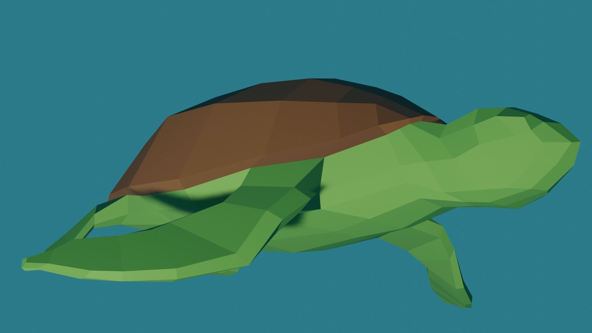 Turtle free VR / AR / low-poly 3D model animated rigged | CGTrader