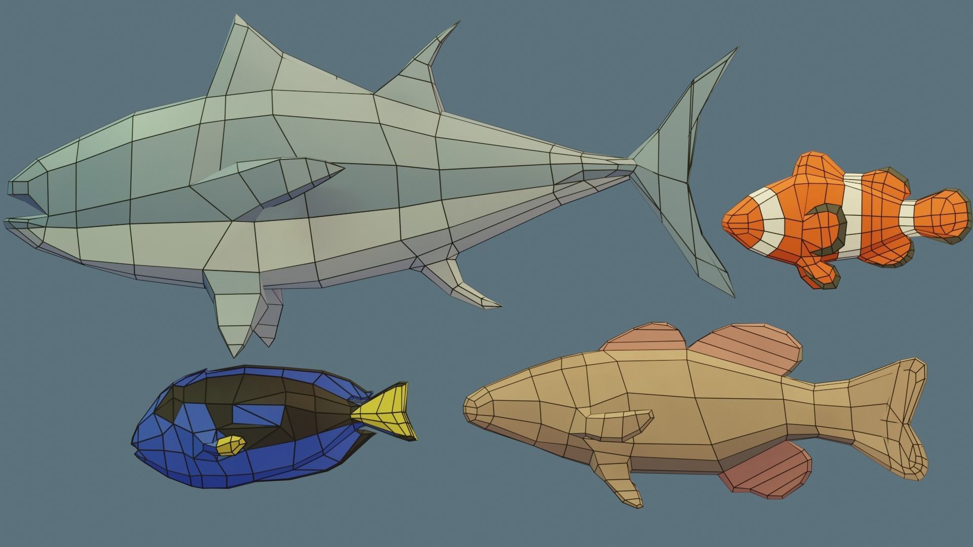 Low Poly Fish and orange free VR / AR / low-poly 3D model animated ...