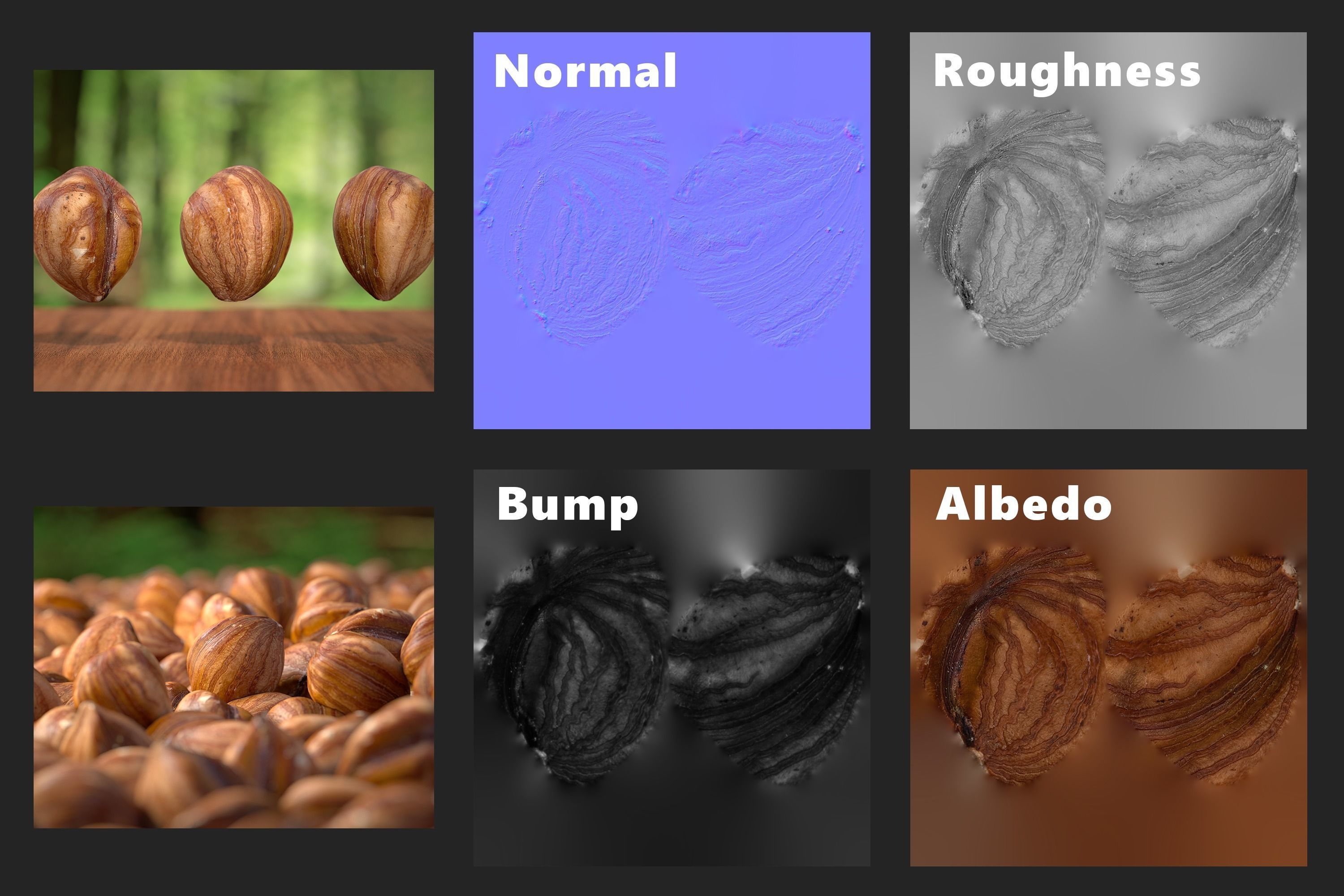 3D model Hazelnut kernel Photoscan VR / AR / low-poly | CGTrader