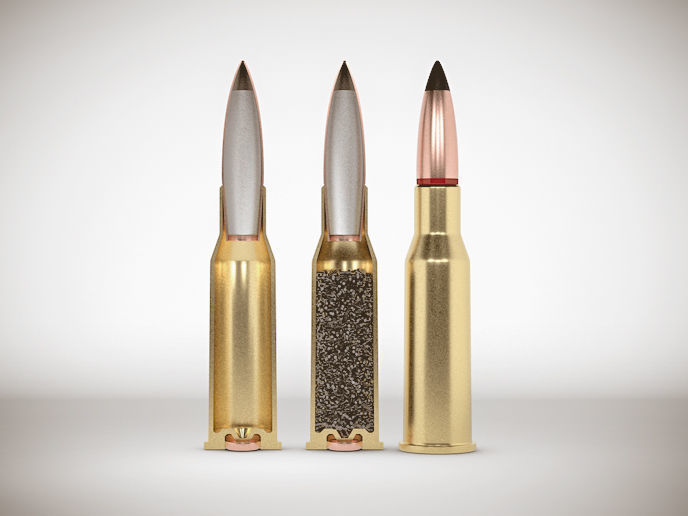 Structure of bullet 3D model | CGTrader