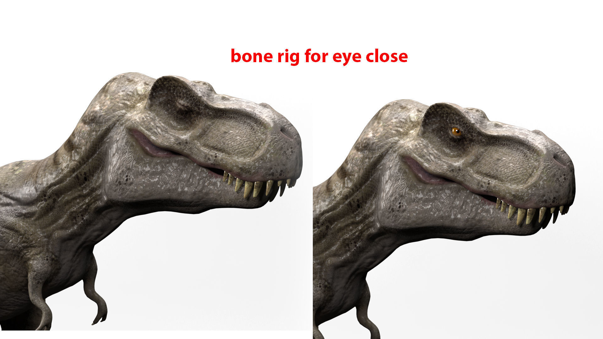 3D model Trex dinosaur game model Tyrannosaurus VR / AR / low-poly ...