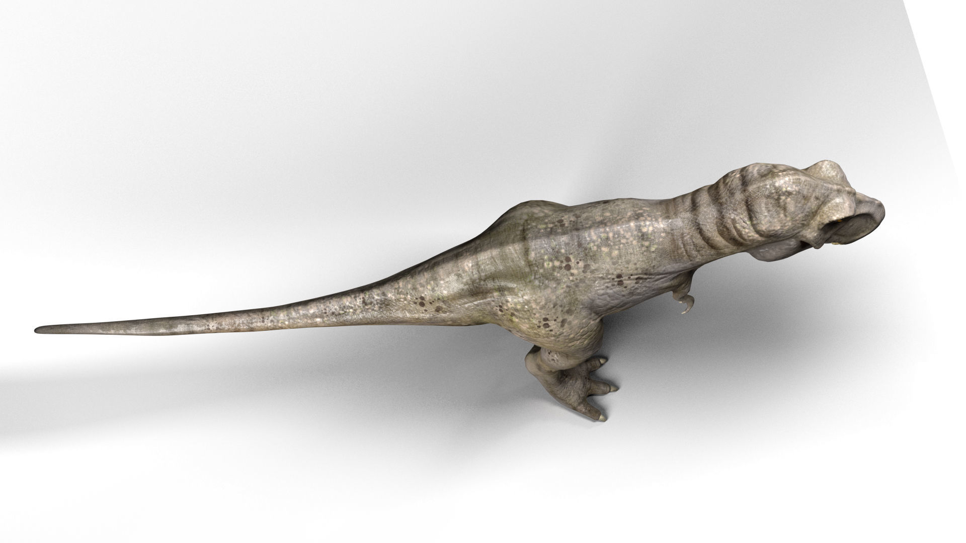 3D model Trex dinosaur game model Tyrannosaurus VR / AR / low-poly ...