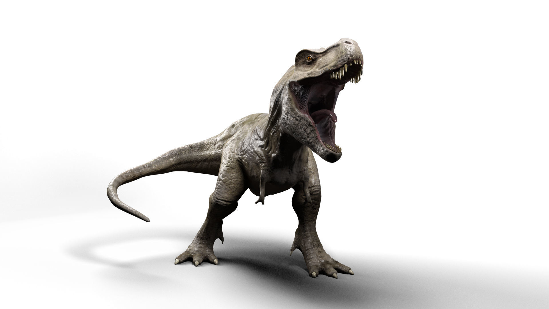 3D model Trex dinosaur game model Tyrannosaurus VR / AR / low-poly ...