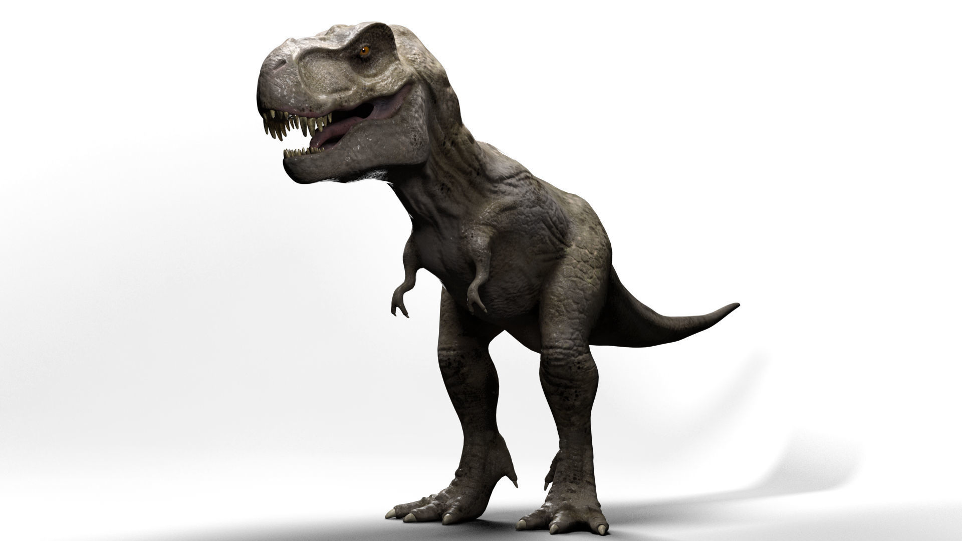 3D model Trex dinosaur game model Tyrannosaurus VR / AR / low-poly ...