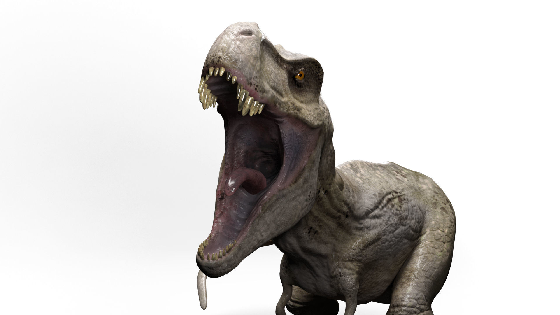 3D model Trex dinosaur game model Tyrannosaurus VR / AR / low-poly ...