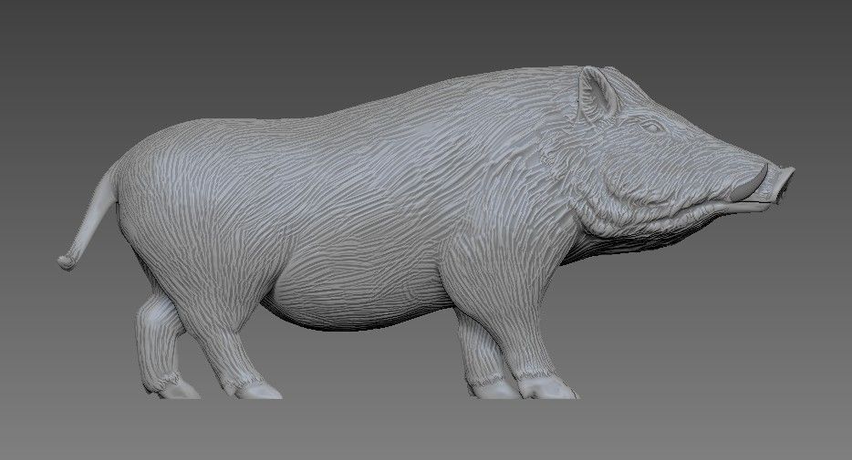 Wild Boar 3D model 3D printable | CGTrader