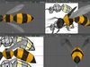 3D model Low-poly Bee VR / AR / low-poly | CGTrader