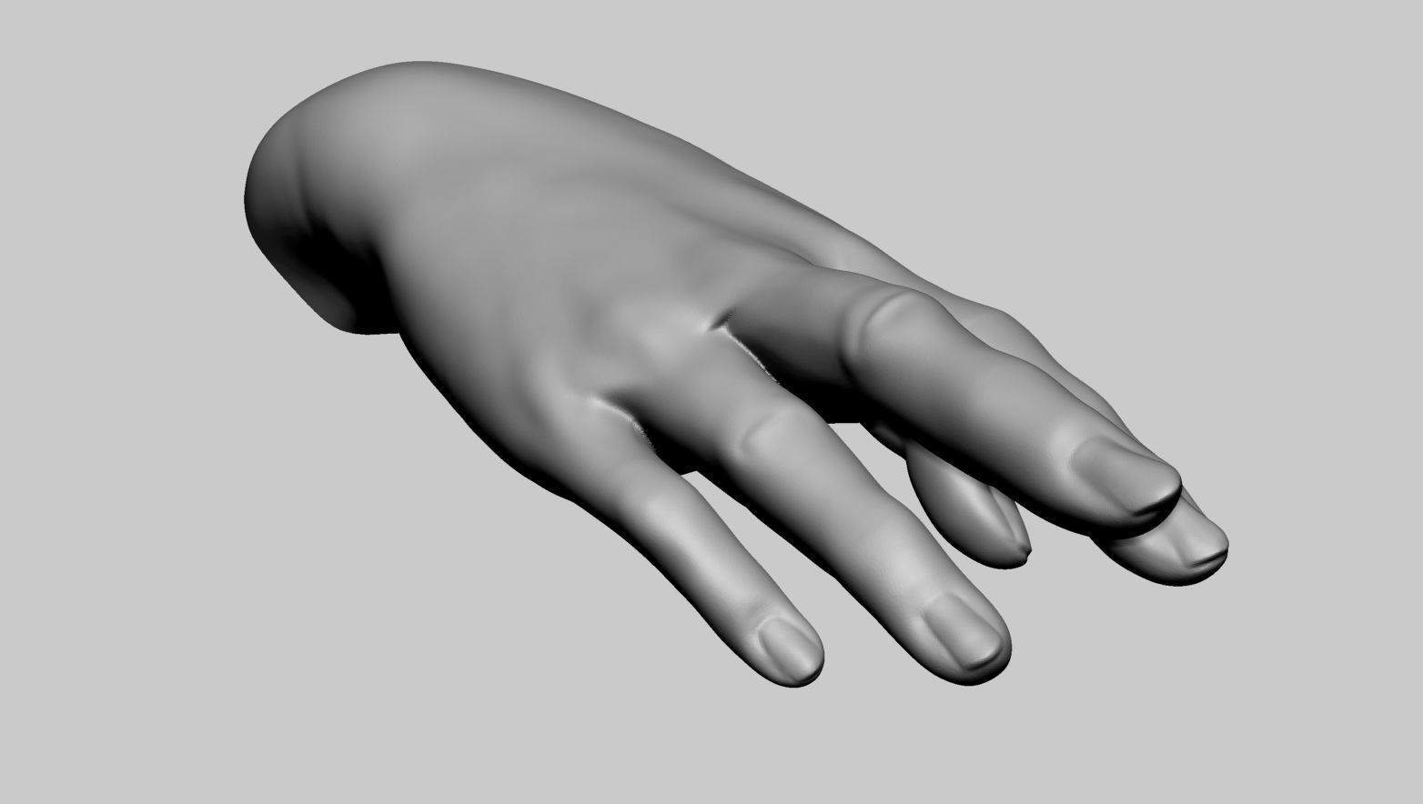 Female Hand Printable 3D model 3D printable | CGTrader
