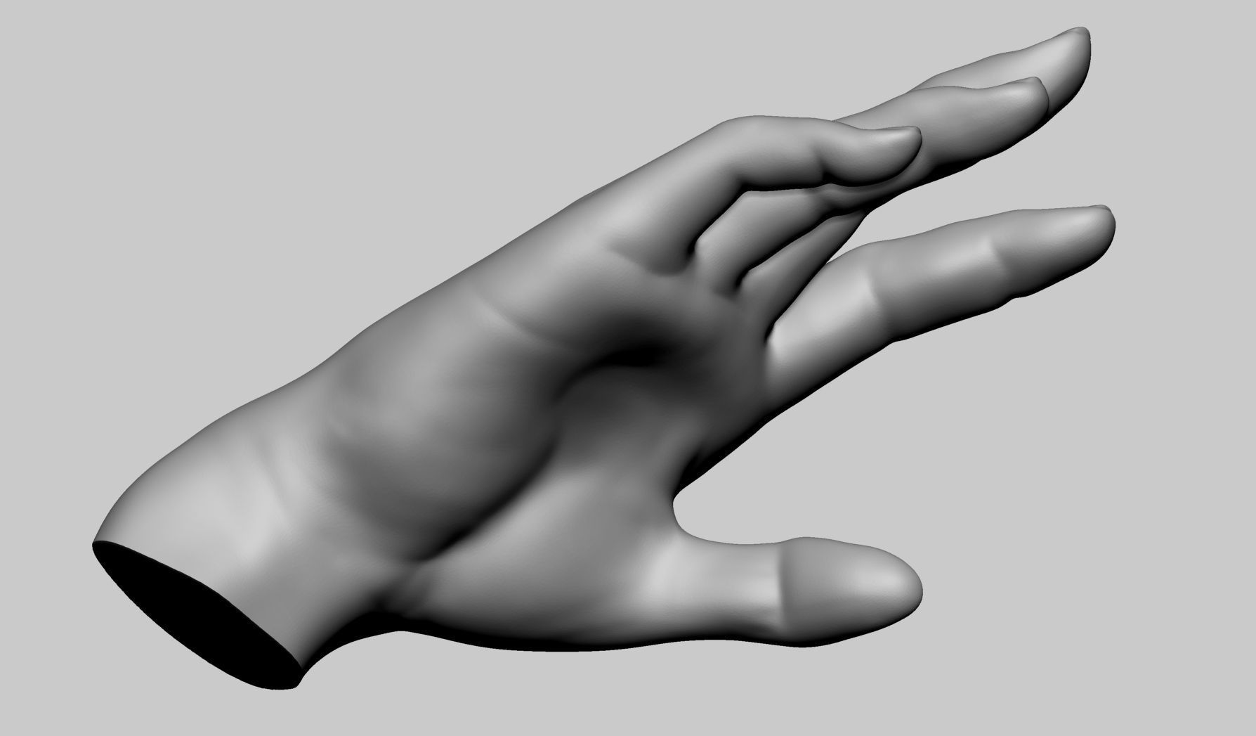 Female Hand Printable 3D model 3D printable | CGTrader