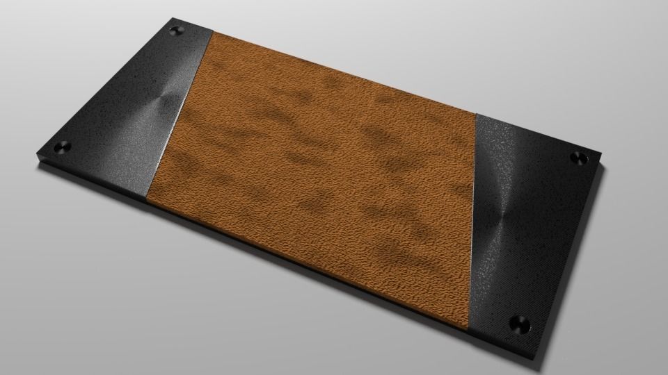 skin plate 3D model | CGTrader