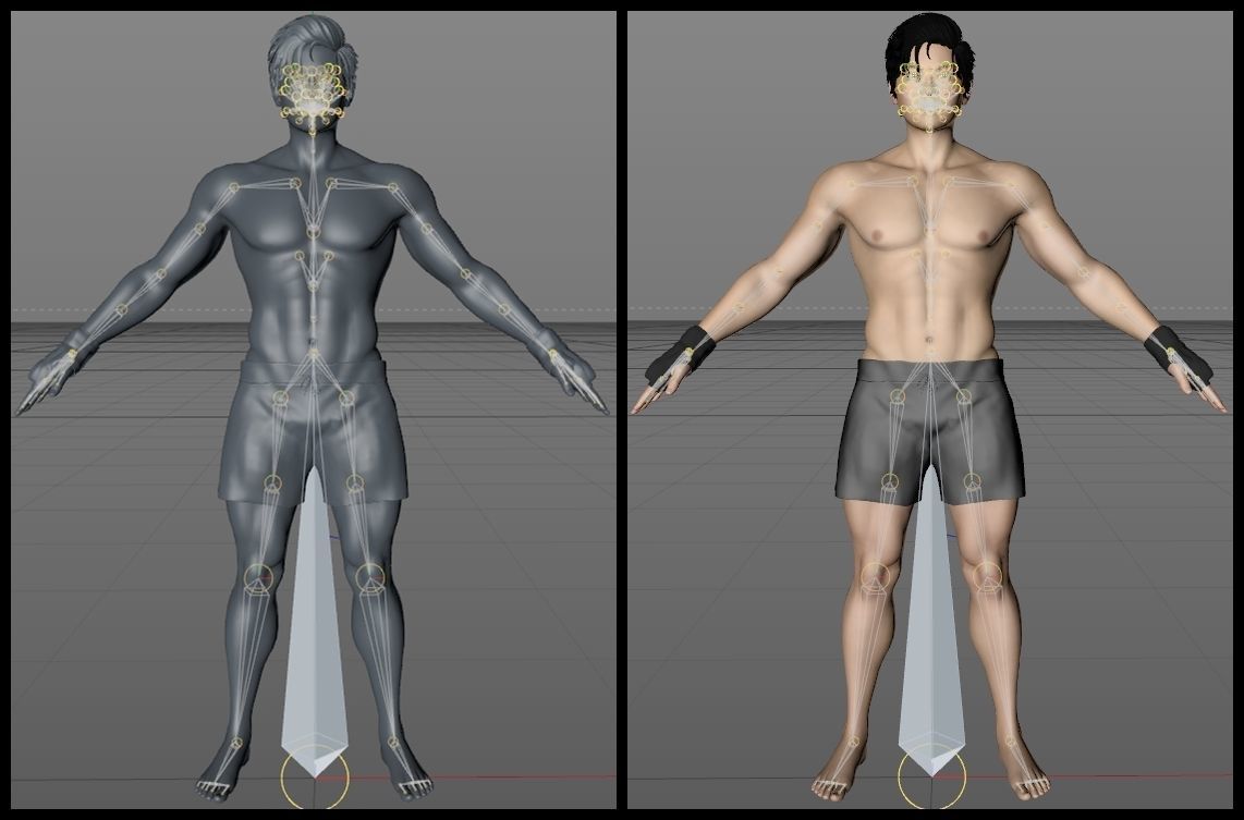 Male Asian BOX - MMA Fighter 3D model animated | CGTrader