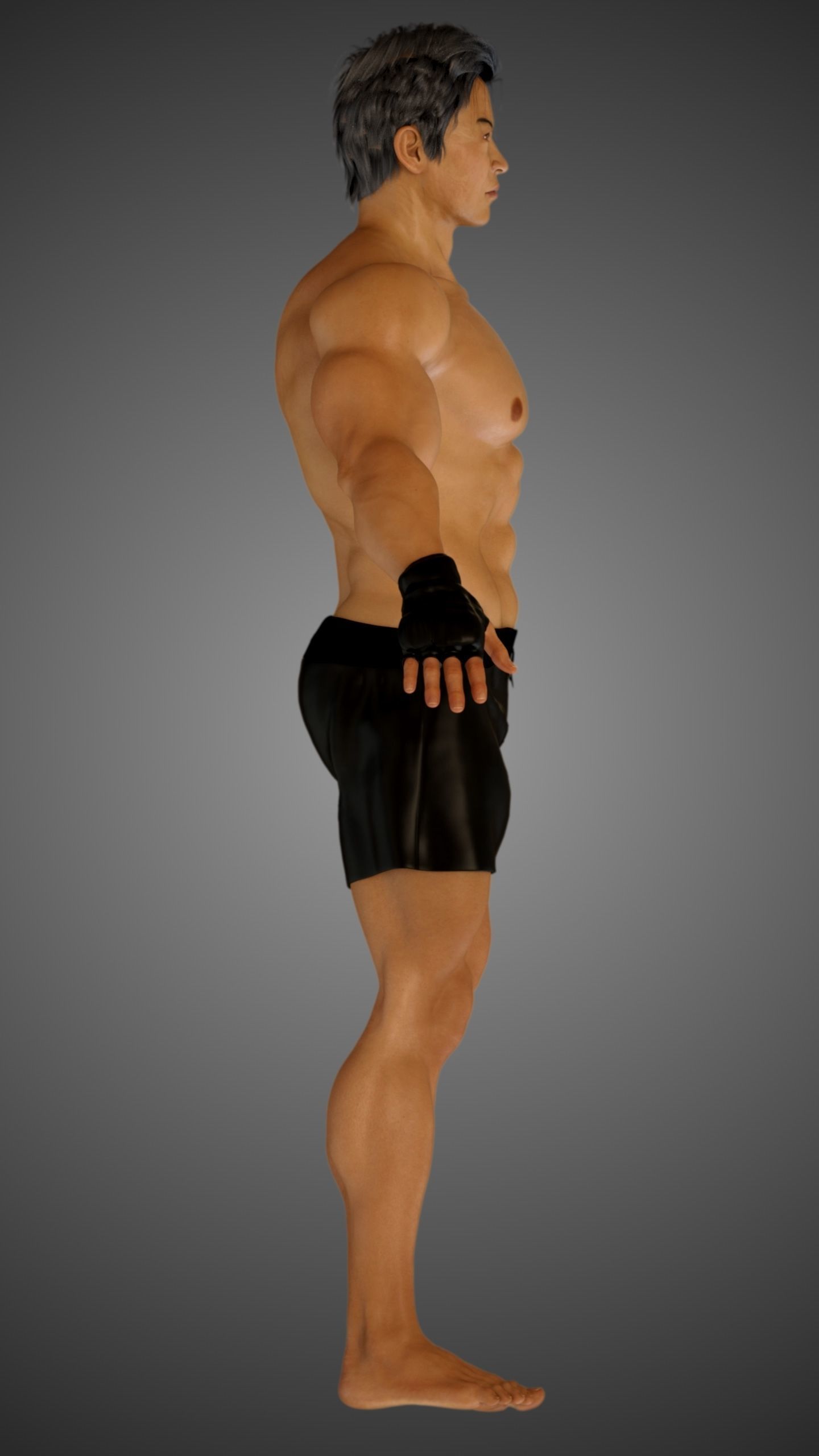 Male Asian BOX - MMA Fighter 3D model animated | CGTrader
