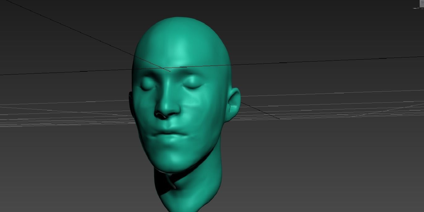 Head 3D Model free VR / AR / low-poly 3D model | CGTrader