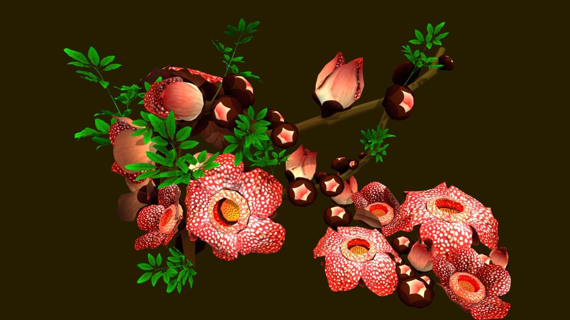 3D model Flower Rafflesia arnoldii VR / AR / low-poly | CGTrader