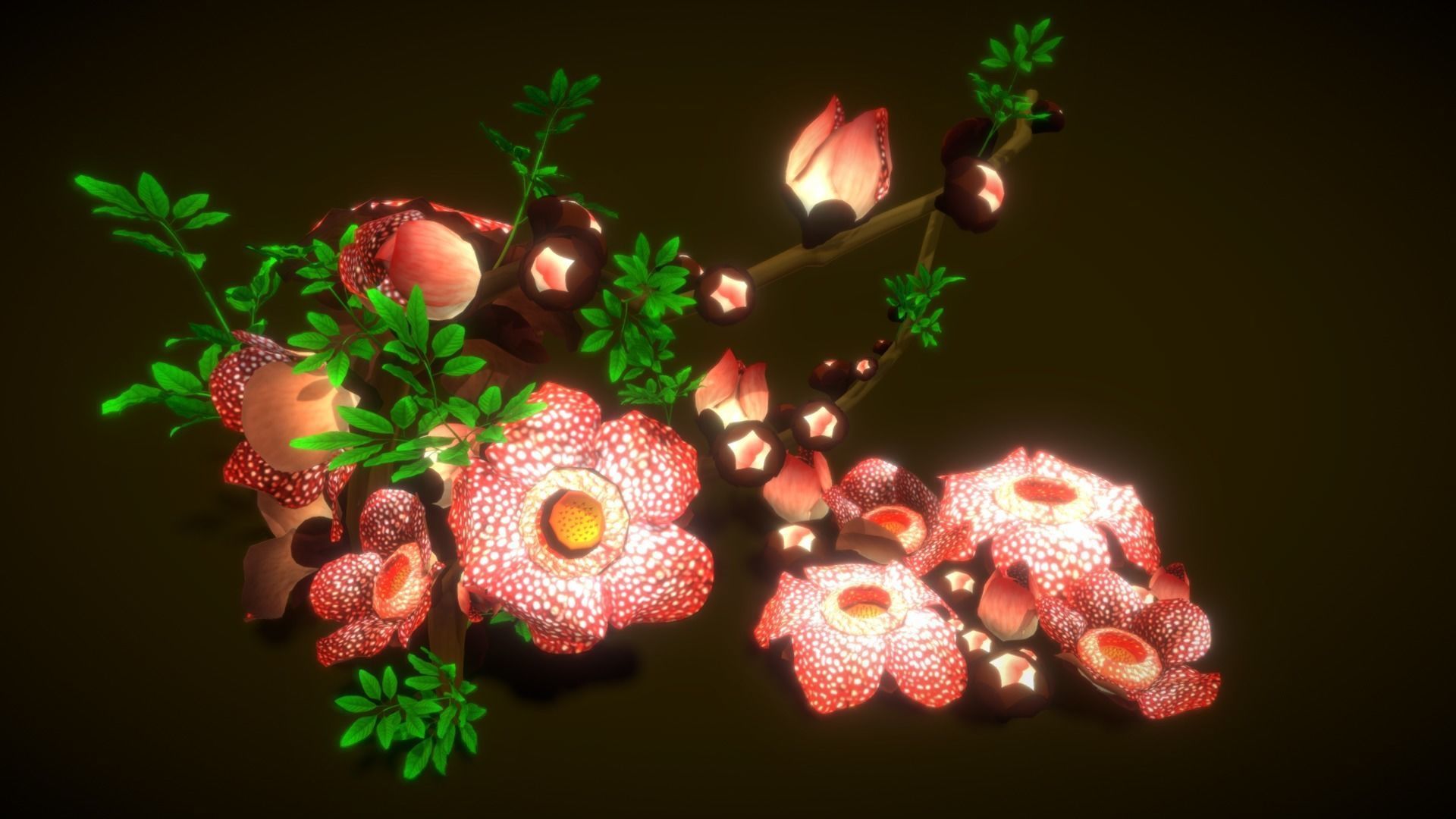 3D model Flower Rafflesia arnoldii VR / AR / low-poly | CGTrader