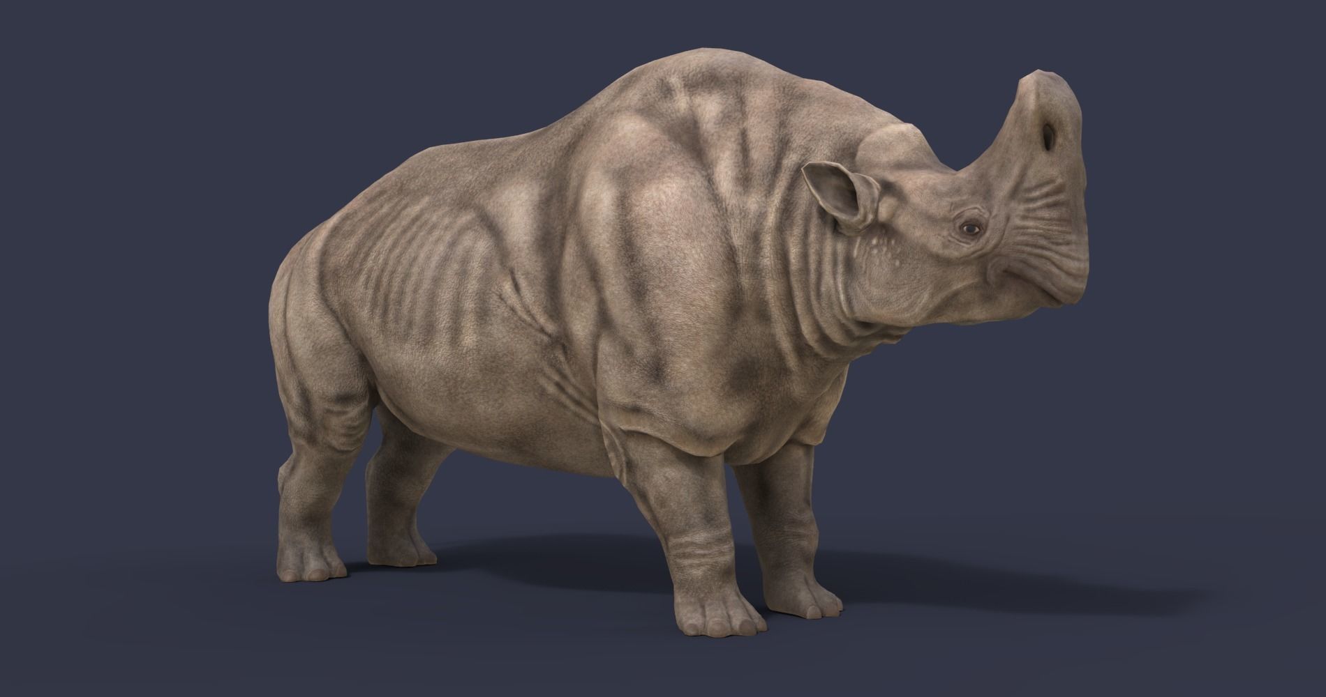 3D model Extinct animals pack version 10 VR / AR / low-poly | CGTrader