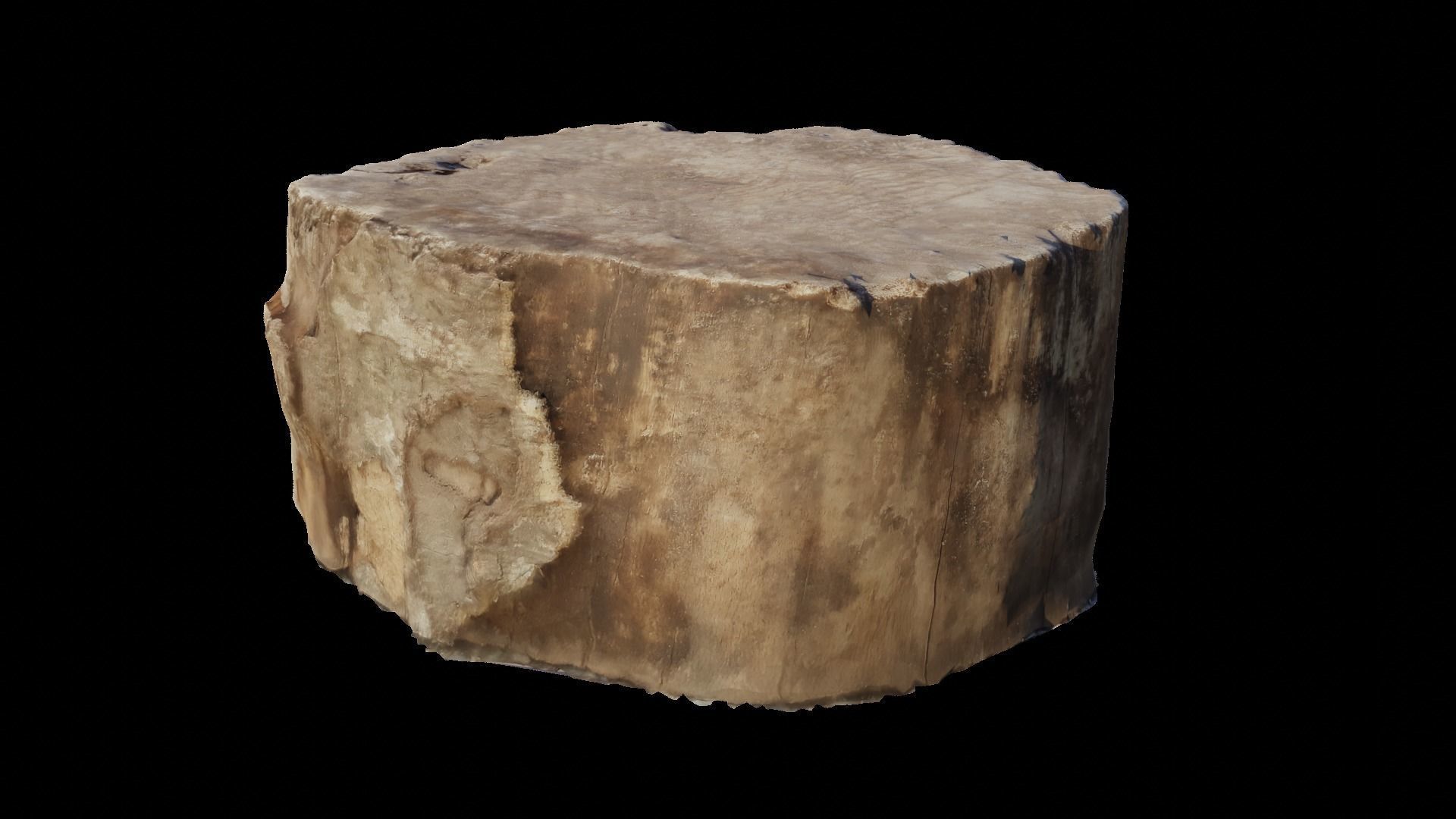 Old Log Medium Poly Model free 3D model | CGTrader