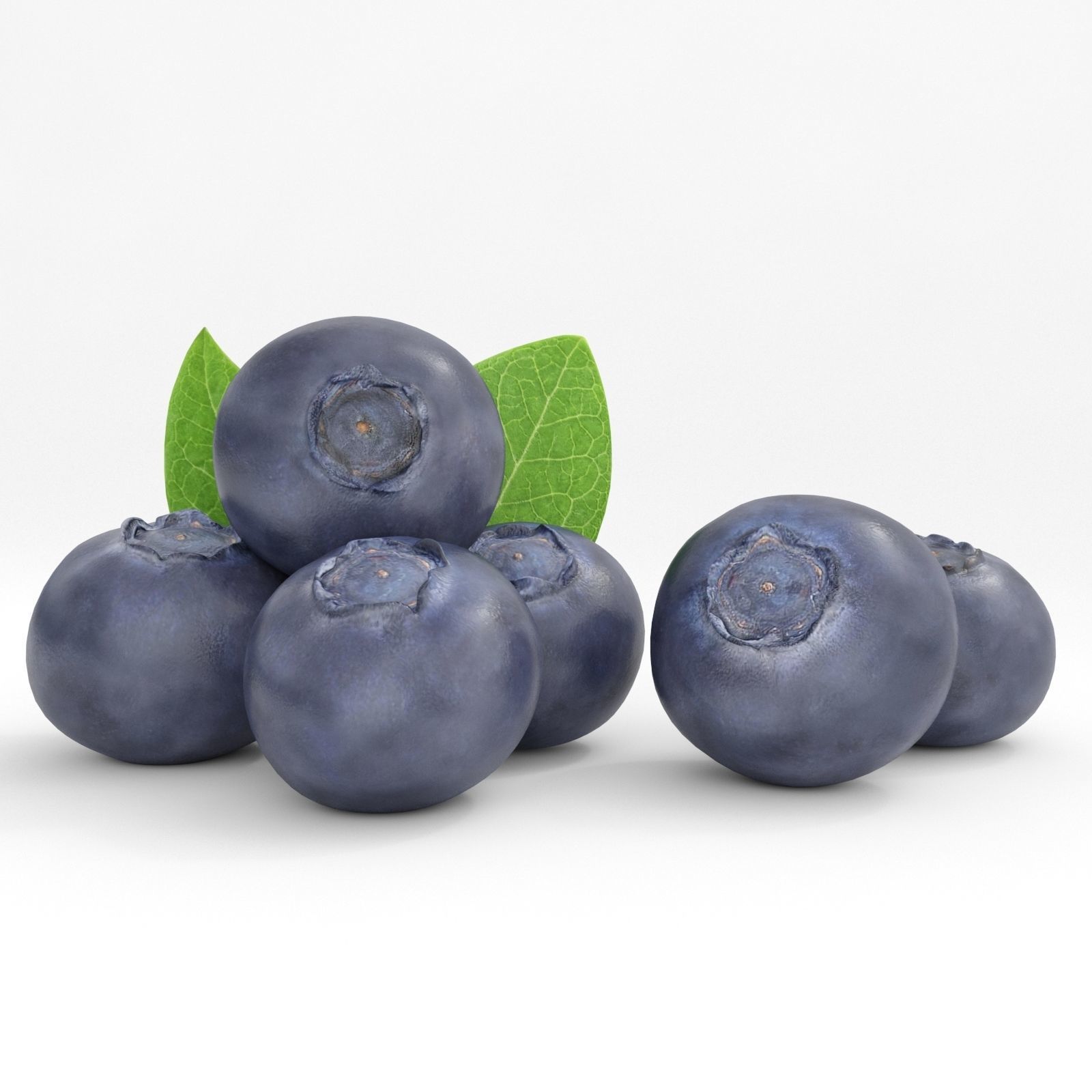 Blueberries 3D model | CGTrader