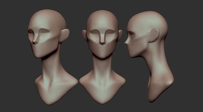 Stylized Female Head Planes for Sculpting Stylized 3D model | CGTrader
