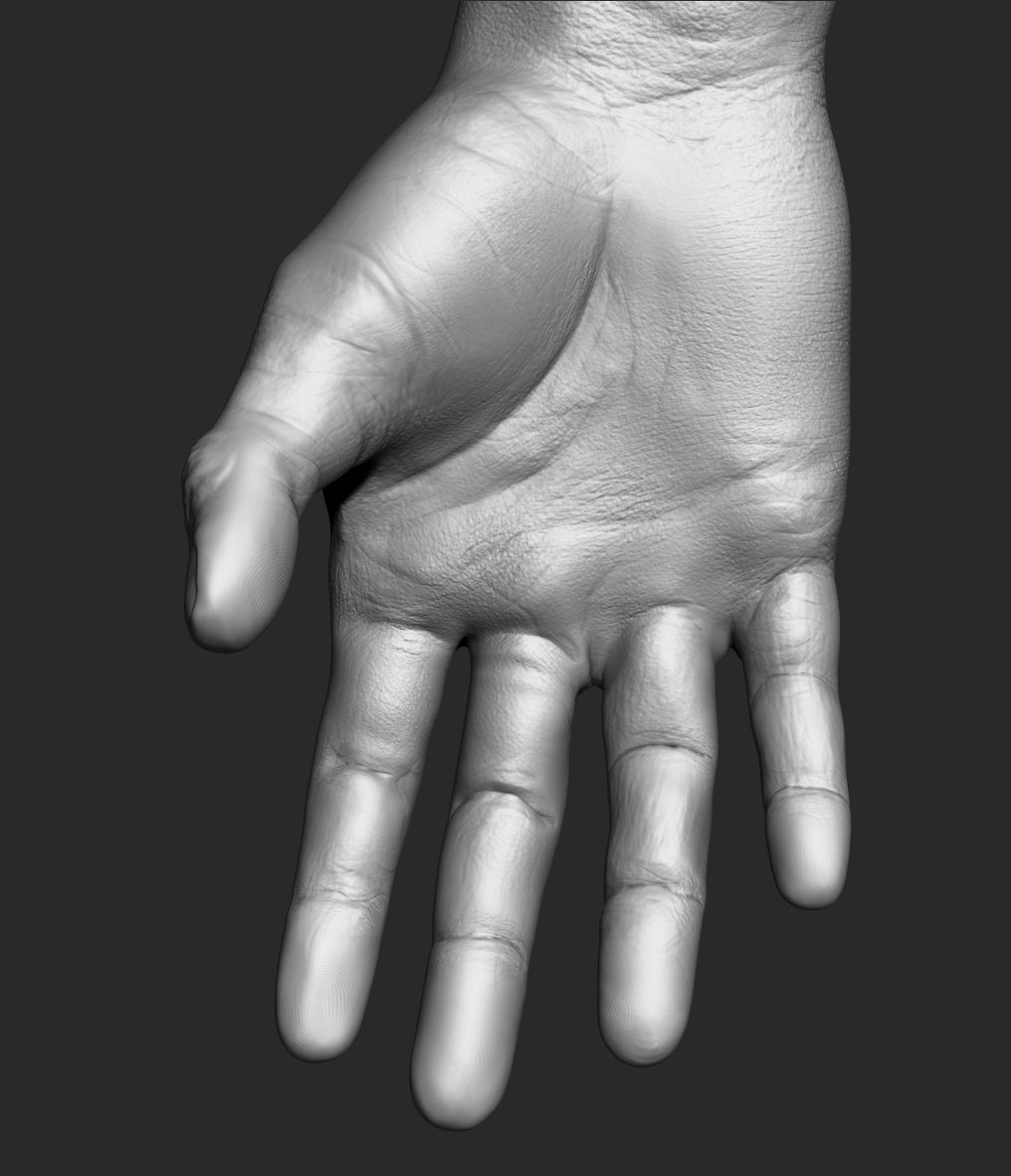 3D model 3D Hand Zbrush VR / AR / low-poly | CGTrader