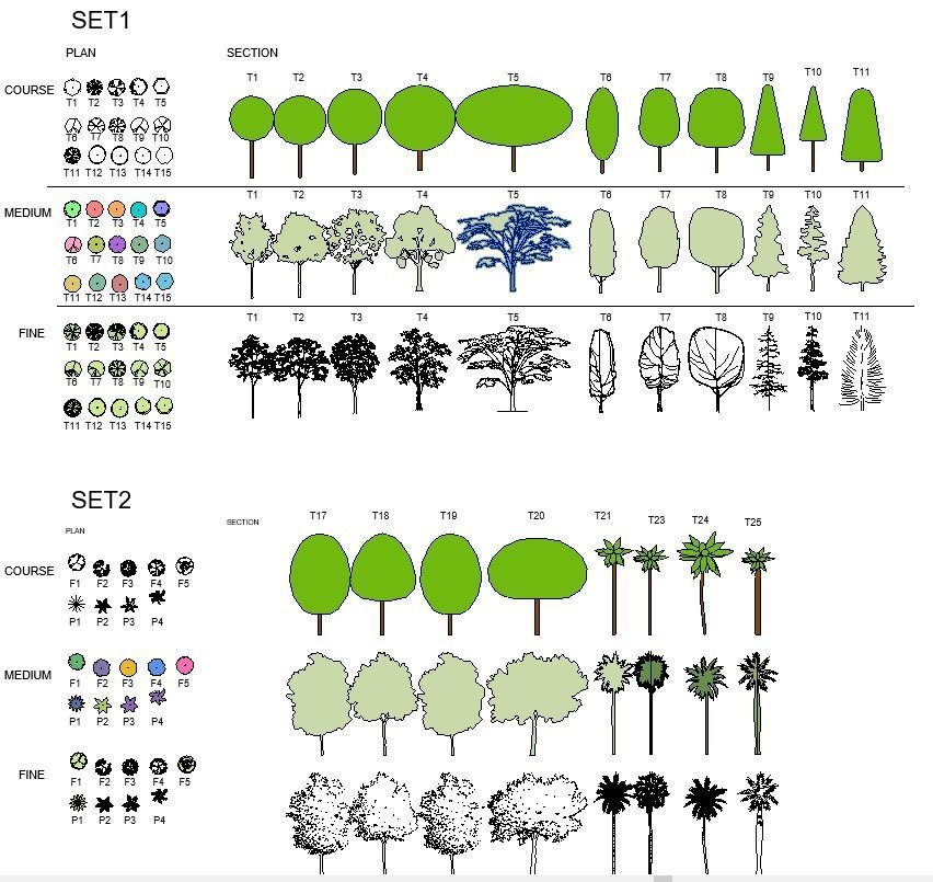 Fully Customizable Revit 2020 Tree Family 3D model | CGTrader