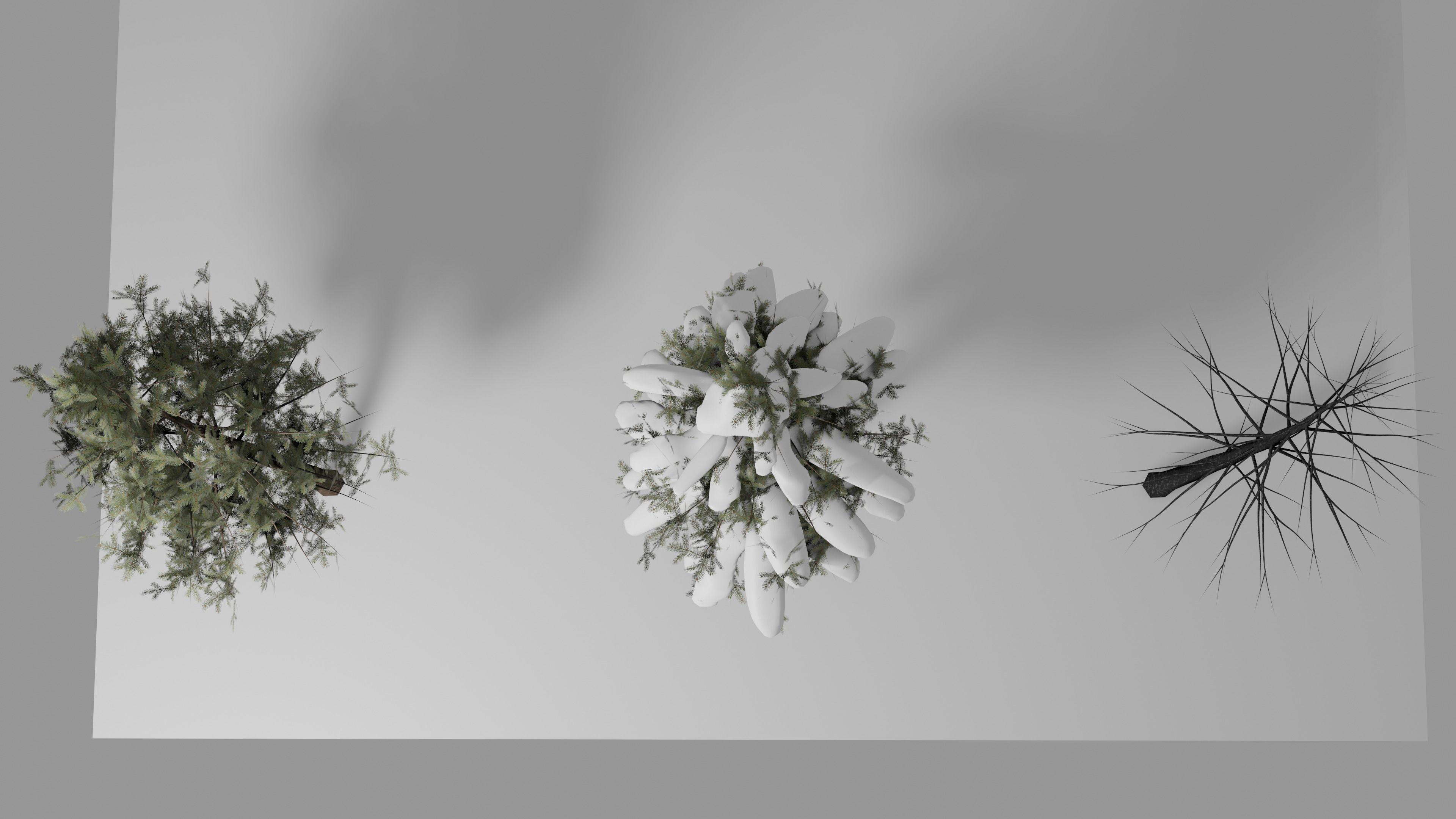 3D model Tree Bundle - FBX Files for Unity VR / AR / low-poly | CGTrader