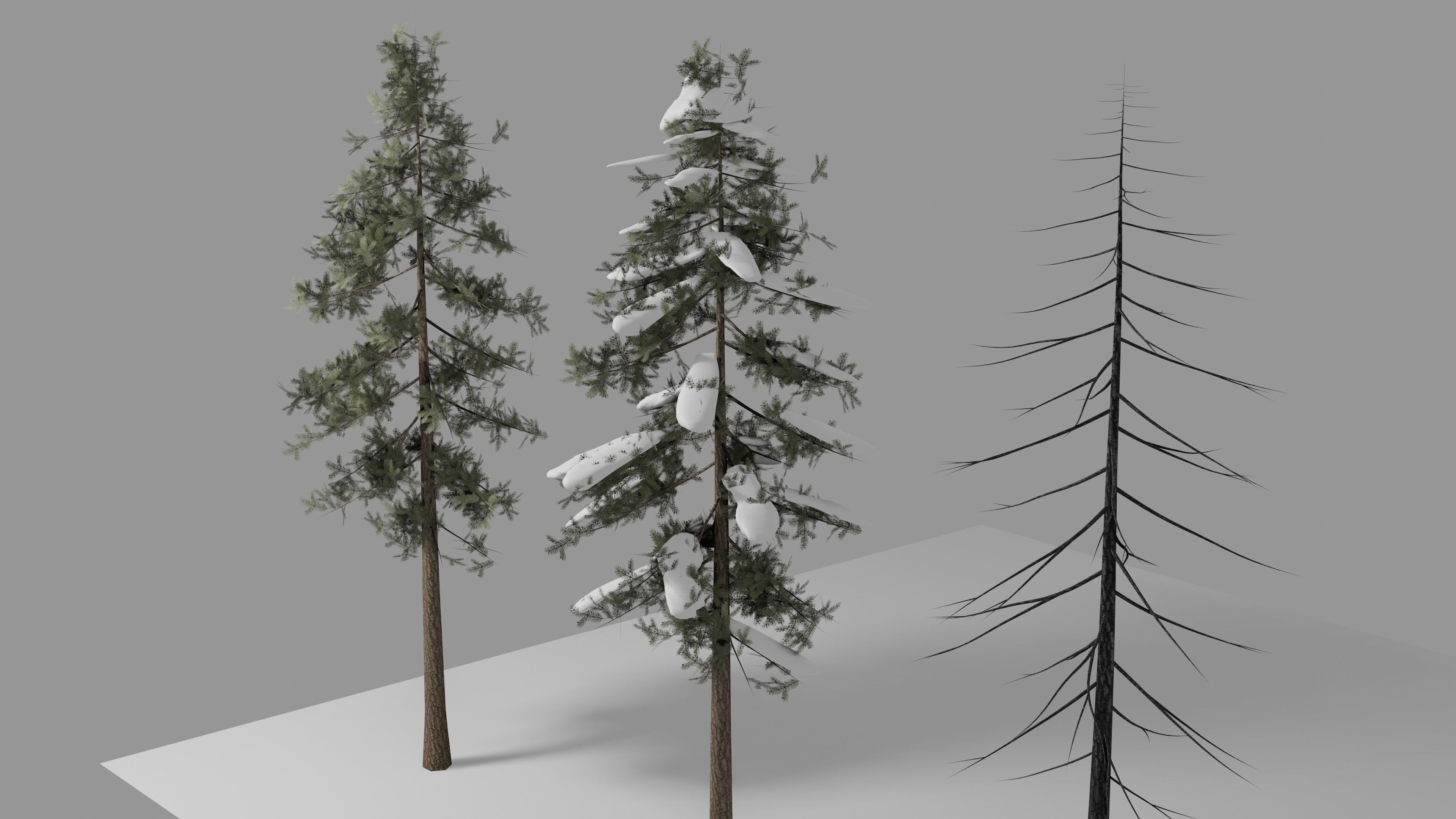3D model Tree Bundle - FBX Files for Unity VR / AR / low-poly | CGTrader